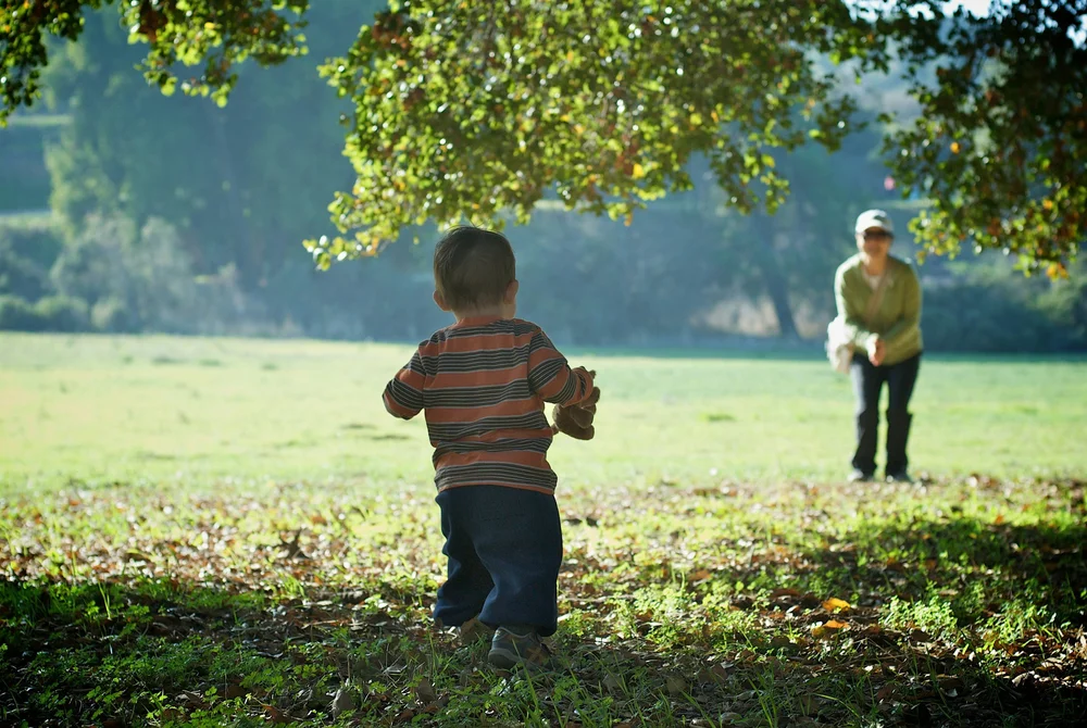 Growing Through Life (How Erikson’s Stages of Development Shape Who We ...