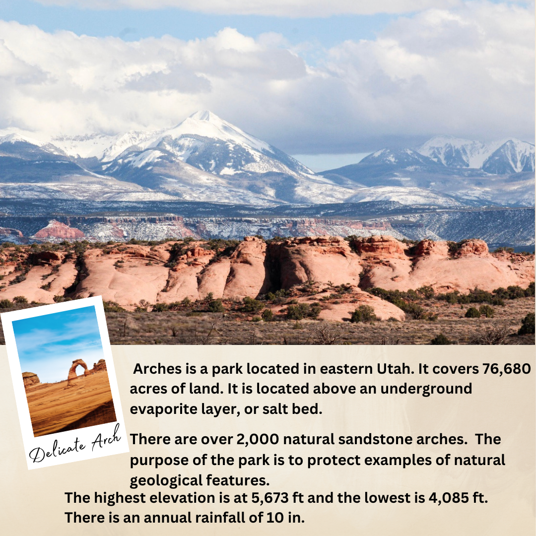 Mega Pines Mini Golf