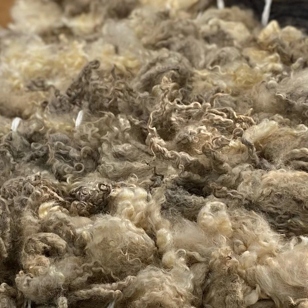 Wool Revolution Studio