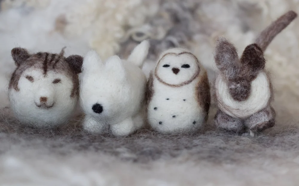 Wool Revolution Studio