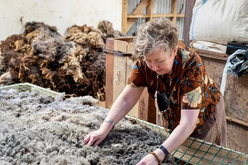 Wool Revolution Studio