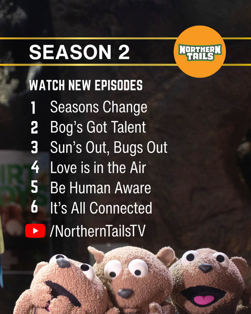 Northern Tails TV