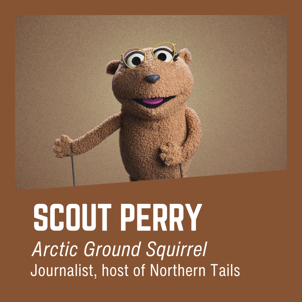 Northern Tails TV