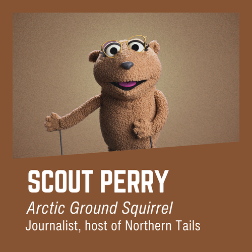 Northern Tails TV
