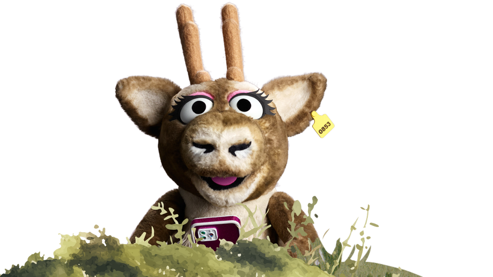 Northern Tails TV | Meet the Characters — Northern Tails