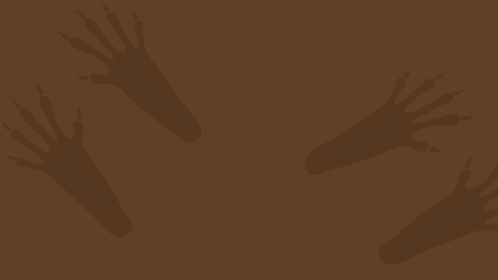 Northern Tails TV | Meet the Characters — Northern Tails