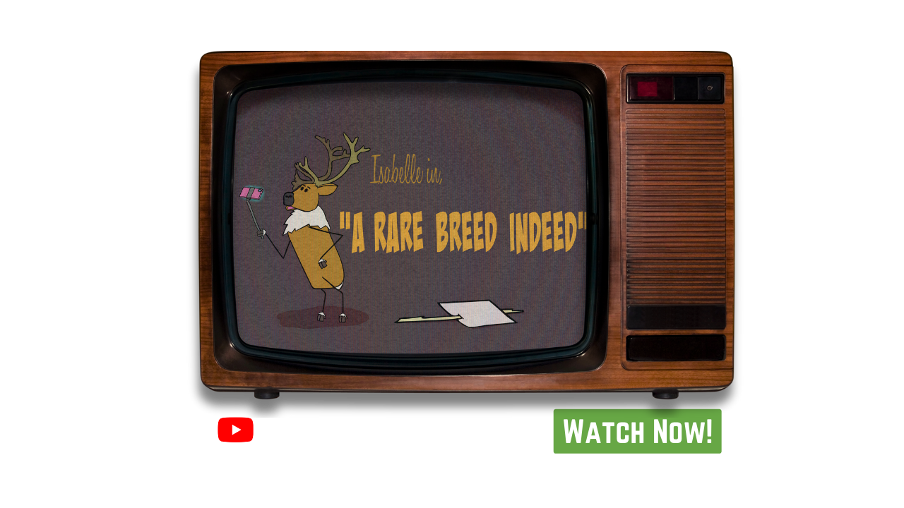 Northern Tails TV | Watch videos — Northern Tails