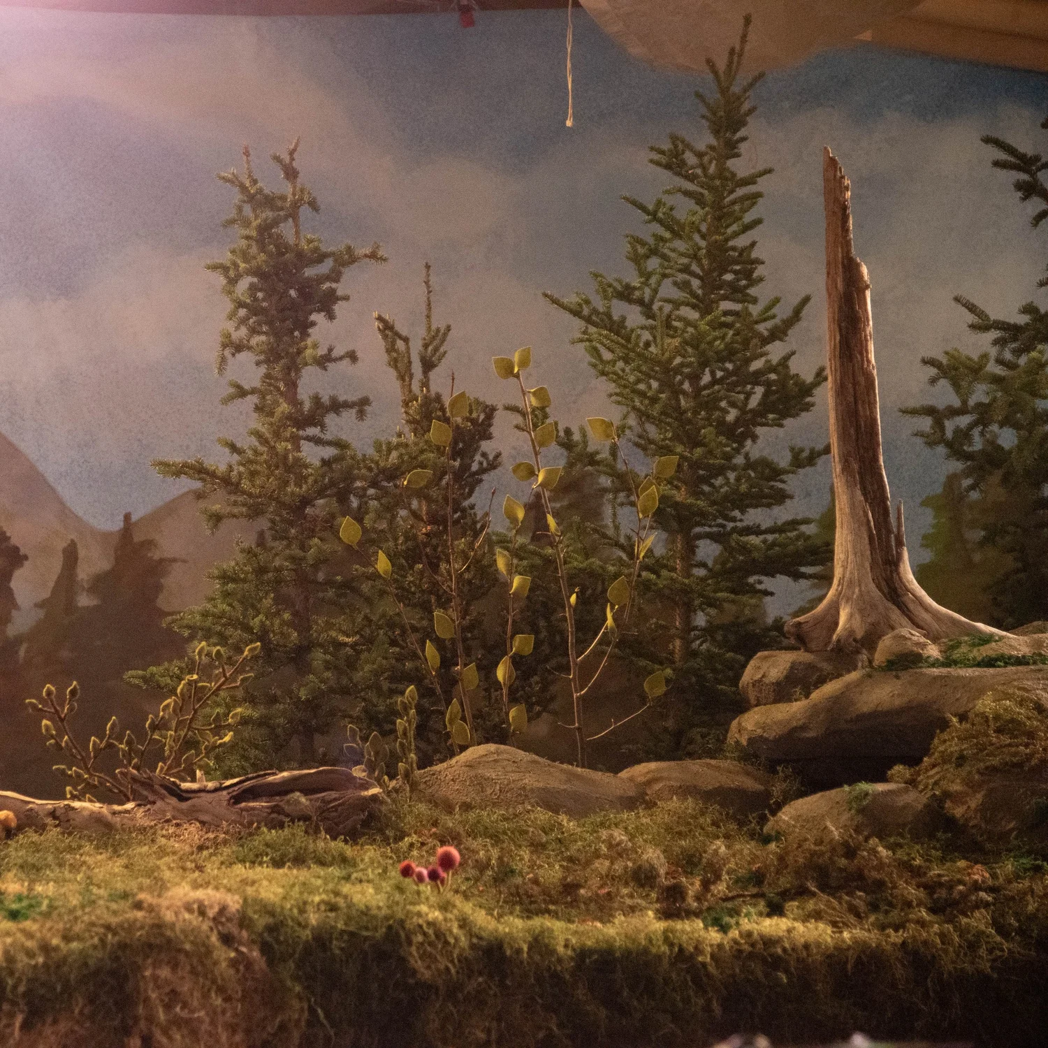 Northern Tails TV | About the Show — Northern Tails