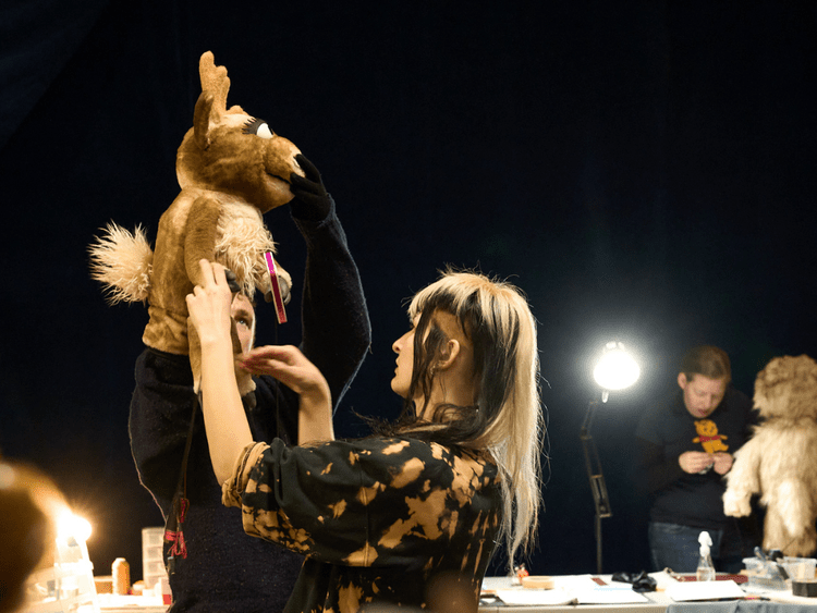 Northern Tails TV | About the Show — Northern Tails