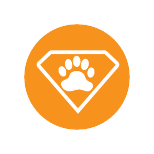 Northern Tails TV | About the Show — Northern Tails