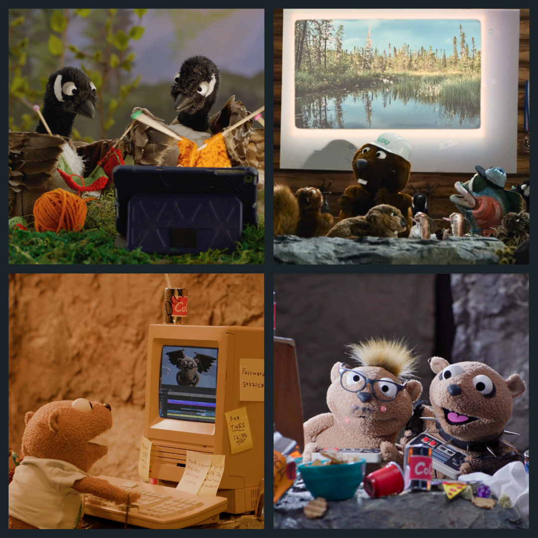 Northern Tails TV | About the Show — Northern Tails