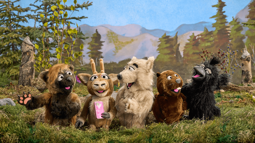 Northern Tails TV | About the Show — Northern Tails