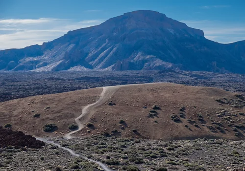 Ordination Priv.-Doz. DDr. Stefan Weisshaar