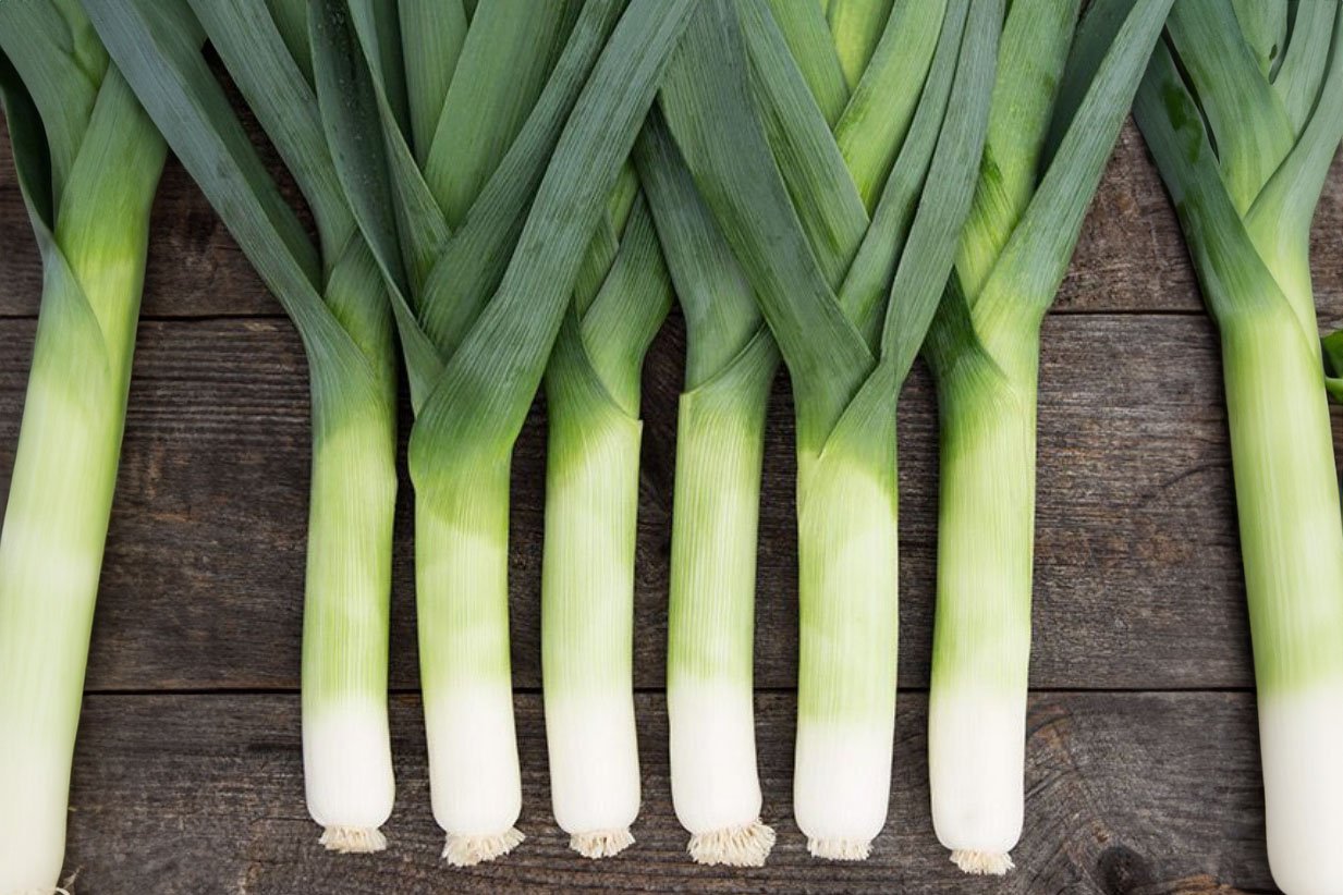 Leeks — Red Door Family Farm