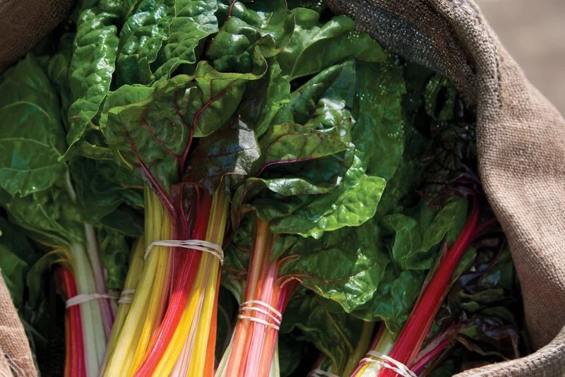 Chard — Red Door Family Farm