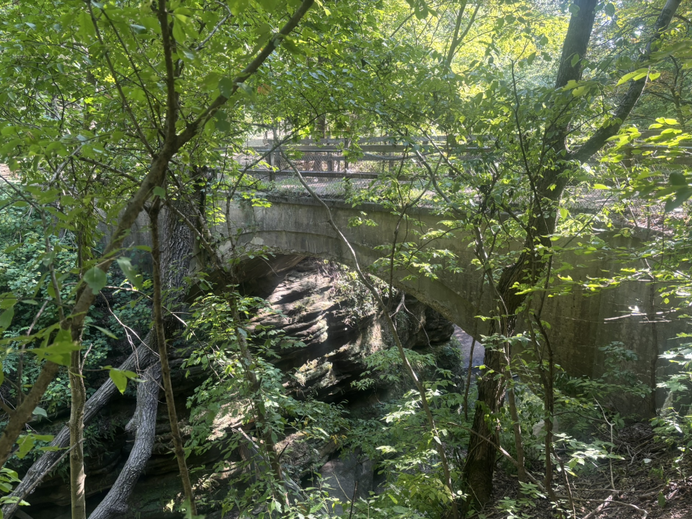Matthiessen State Park Bridge 1 — Bridges of the USA