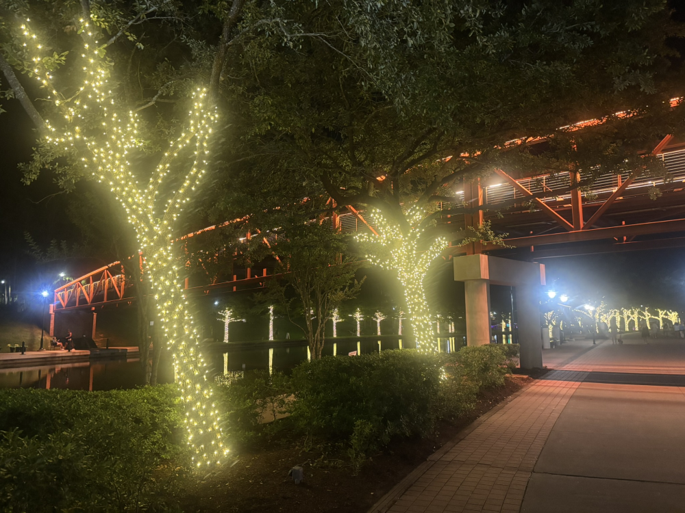 Pavilion Pedestrian Bridge — Bridges of the USA