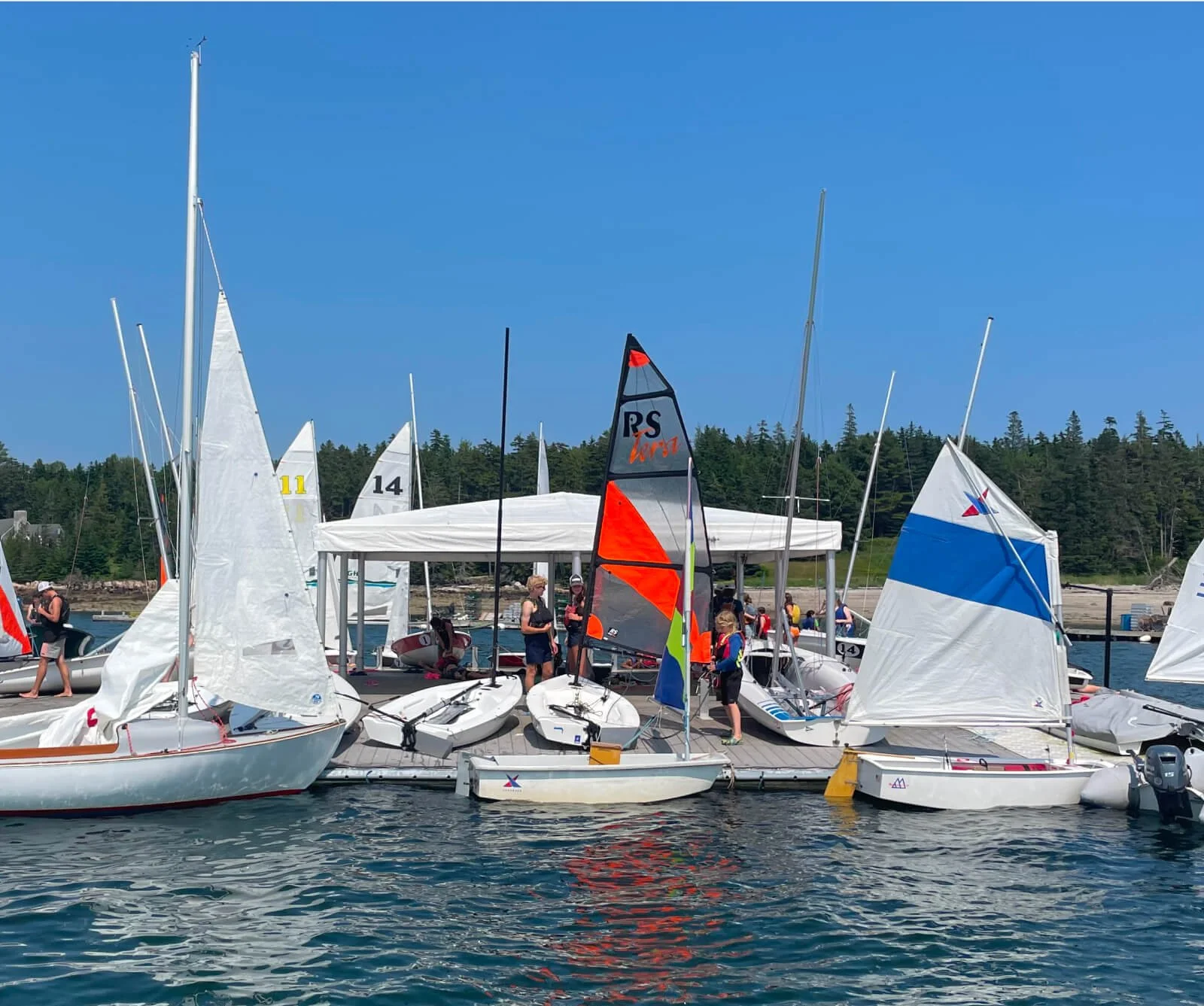 Junior Programs — MDI Community Sailing Club