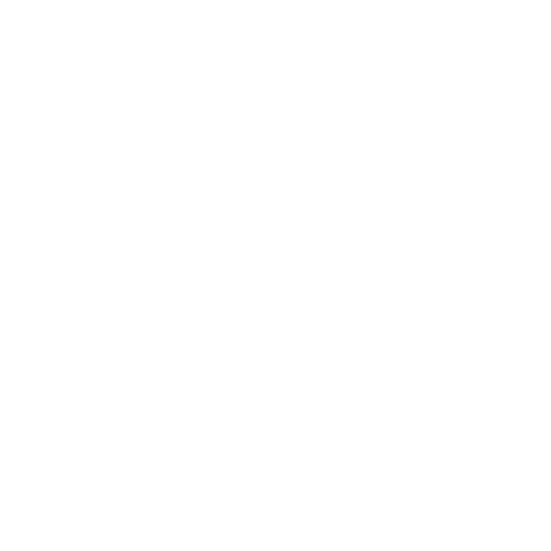 Careers — Alpha Apex Group - Consulting & Executive Search Firm