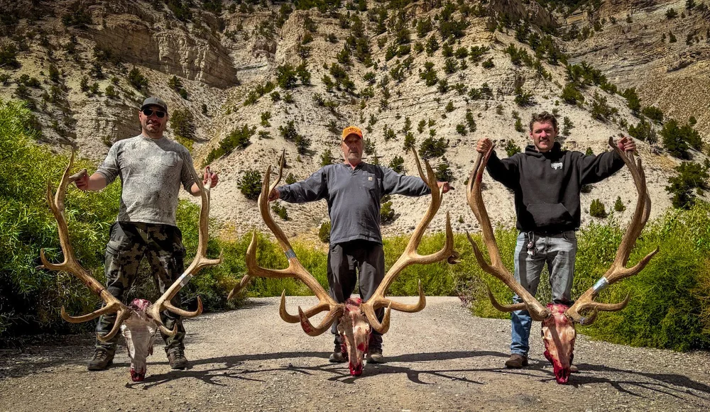 Guided Elk Hunts Utah | Private Ranch - SD Outfitters