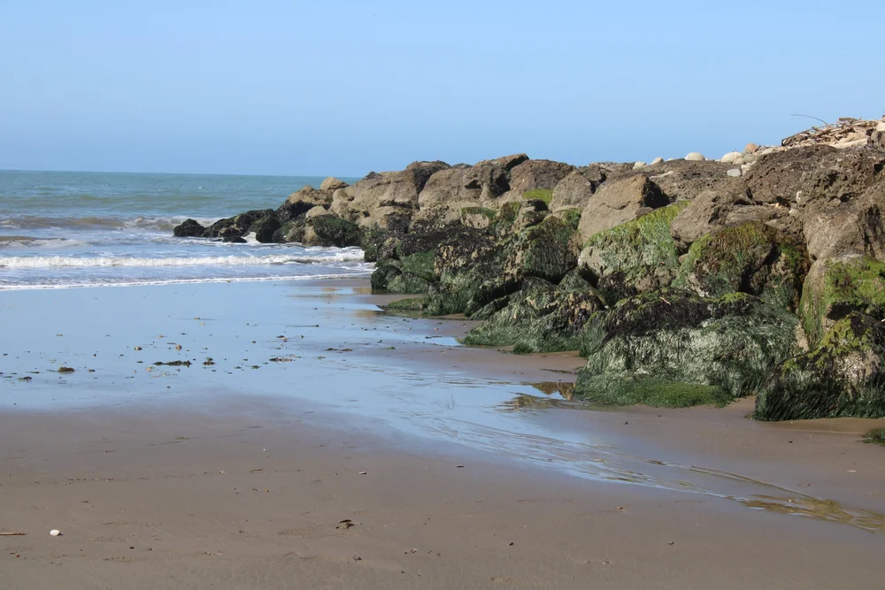 The Secret to Better Beach Photos With Just Your Phone | Phelan Fantasy ...