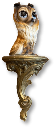 Cute Faces Guide — Jess Rona Grooming