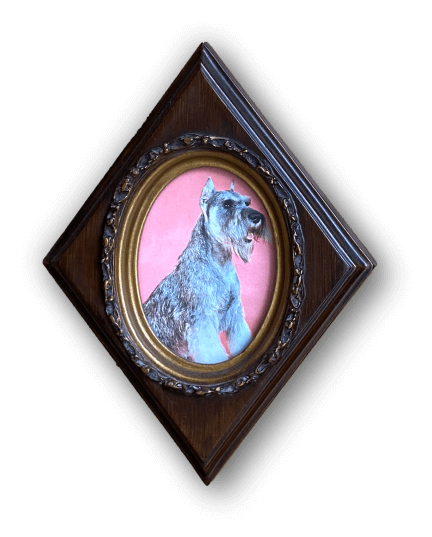 Services & Pricing — Jess Rona Grooming