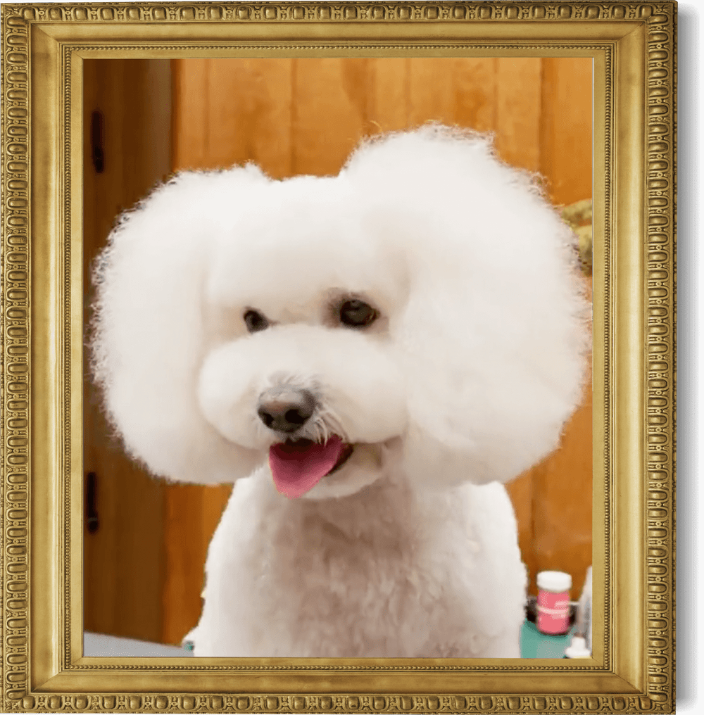 The Many Faces of JRG — Jess Rona Grooming