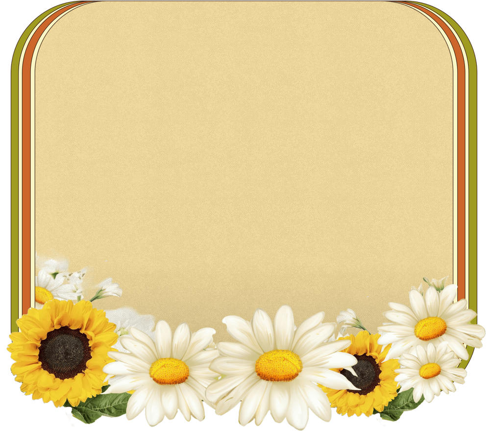 Cute Faces Guide — Jess Rona Grooming