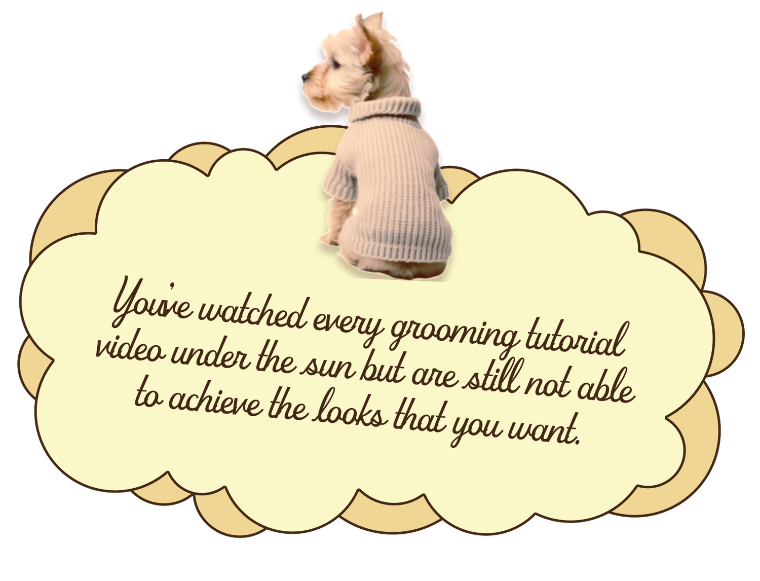 The Many Faces of JRG — Jess Rona Grooming