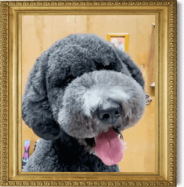 The Many Faces of JRG — Jess Rona Grooming