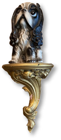 Cute Faces Guide — Jess Rona Grooming