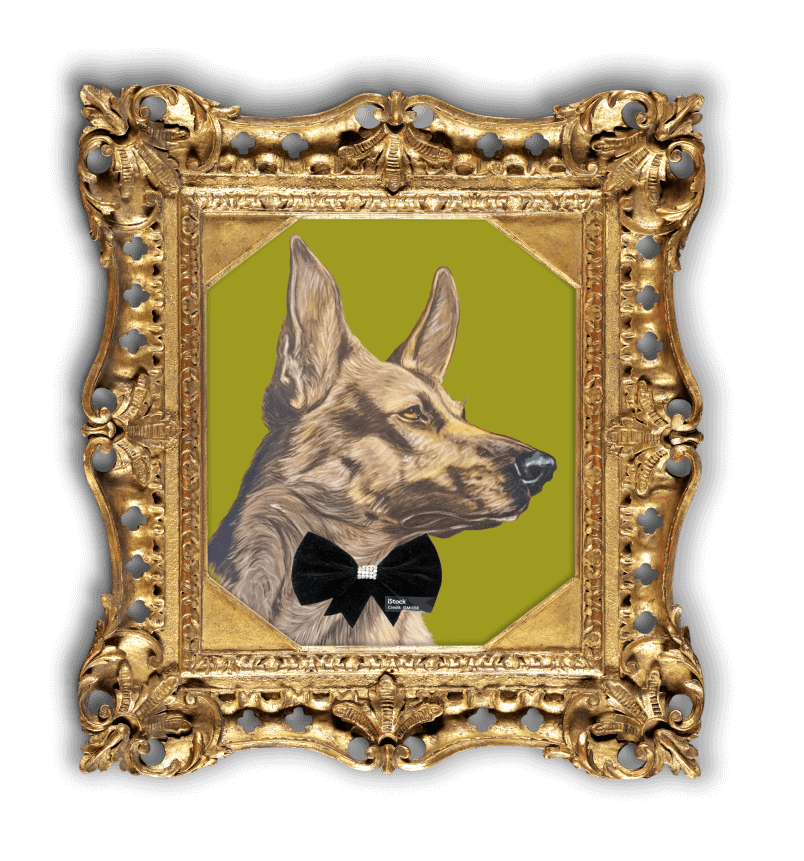 Services & Pricing — Jess Rona Grooming