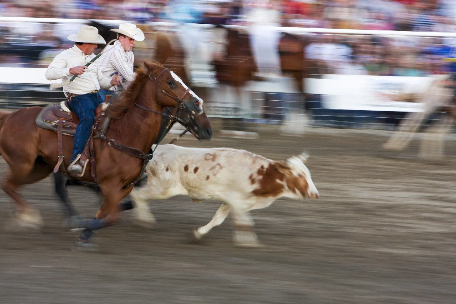 Lehi Round-Up Rodeo — Lehi Historical Society