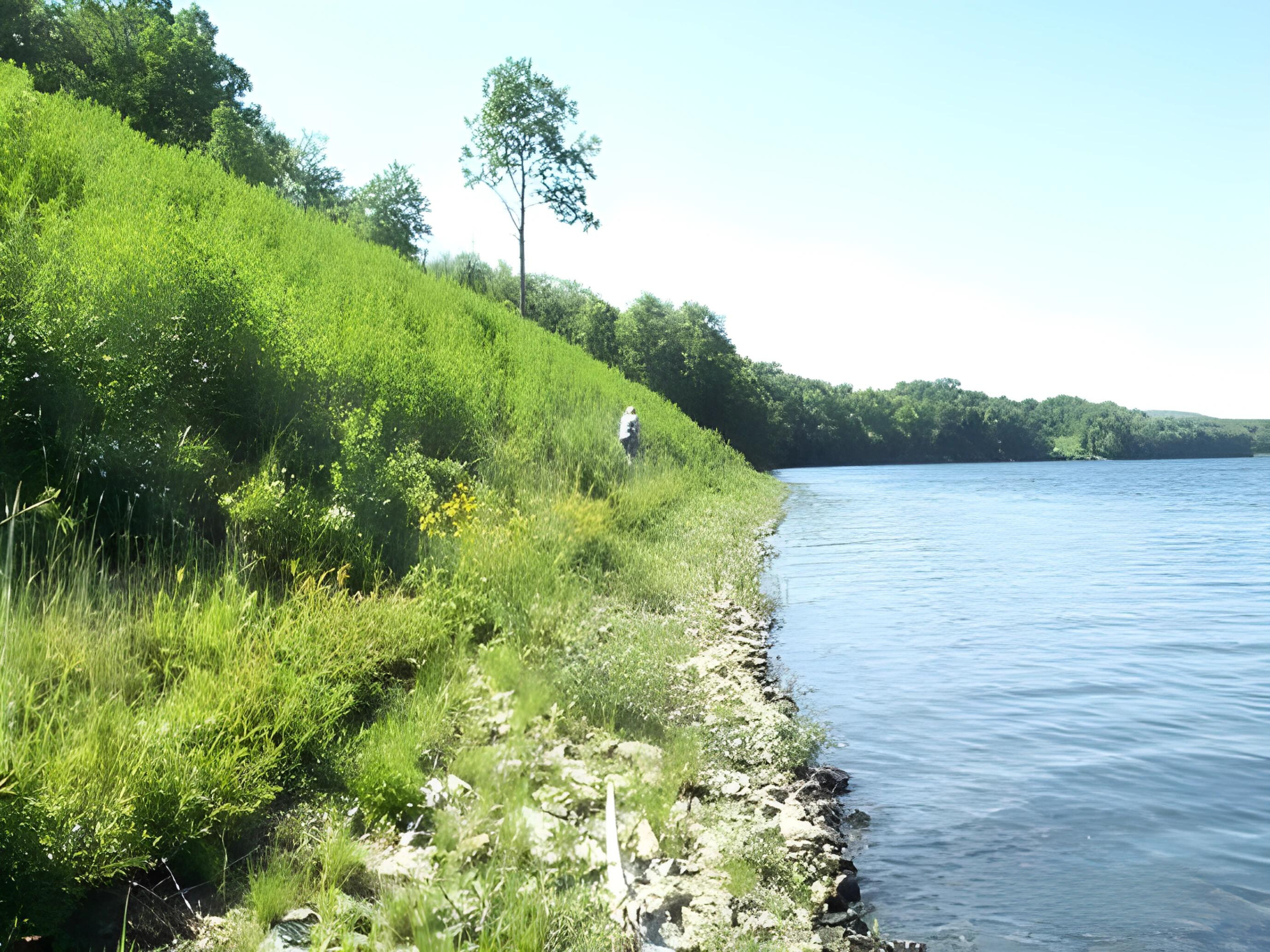 Birds Habitats: CT River Bank Swallow Project — Swallow Conservation