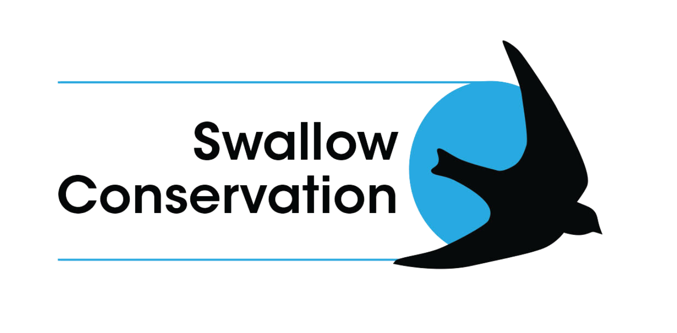 Nesting Barn Swallows: Structure Effectiveness — Swallow Conservation