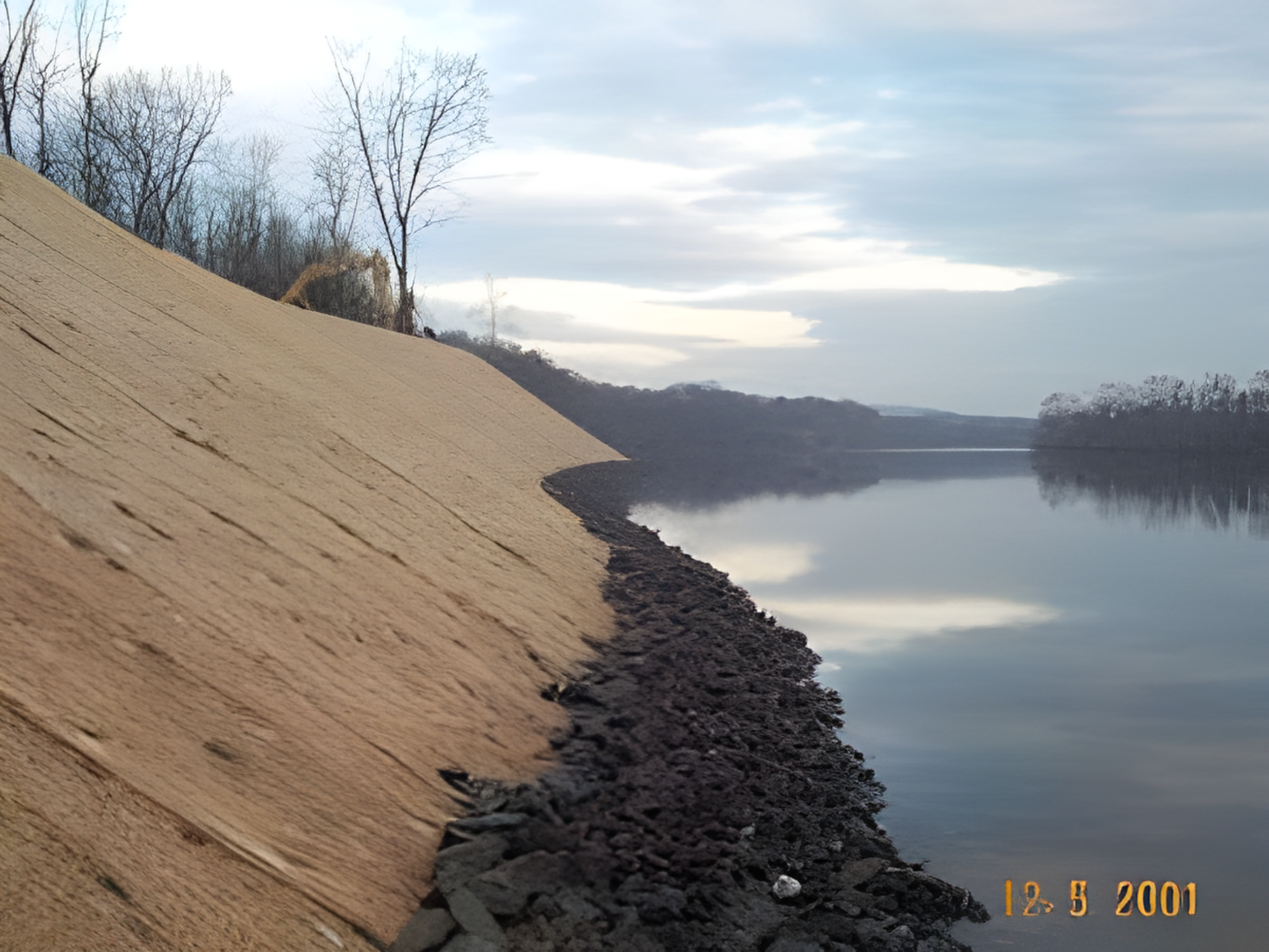 Birds Habitats: CT River Bank Swallow Project — Swallow Conservation