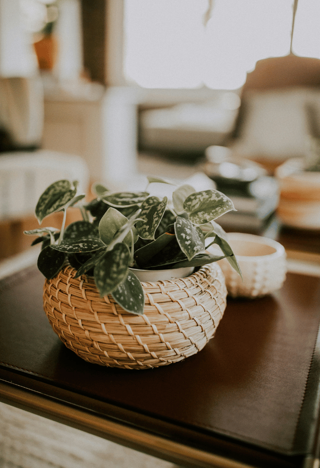 Top-Rated Depression Therapist Los Angeles — Sally Stephens Therapy