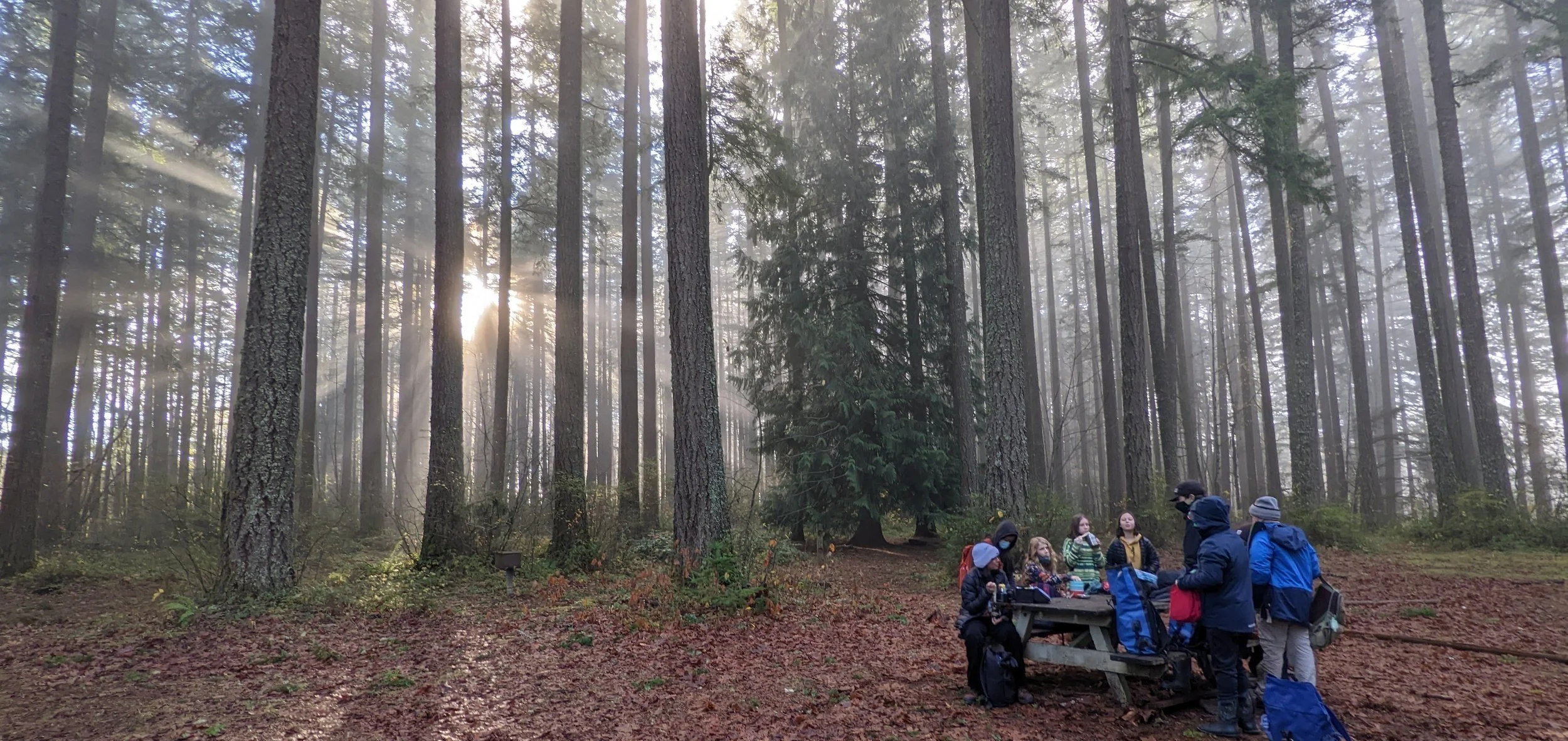 Admissions — Portland Forest School