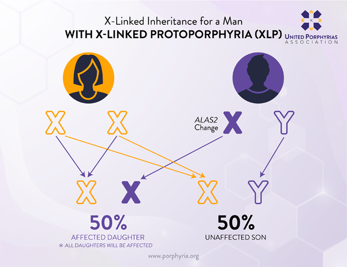 Erythropoietic Protoporphyria and X-Linked Porphyria — United ...