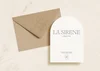 Services | Enhance Your Brand - Get Started Now — The Voy Design