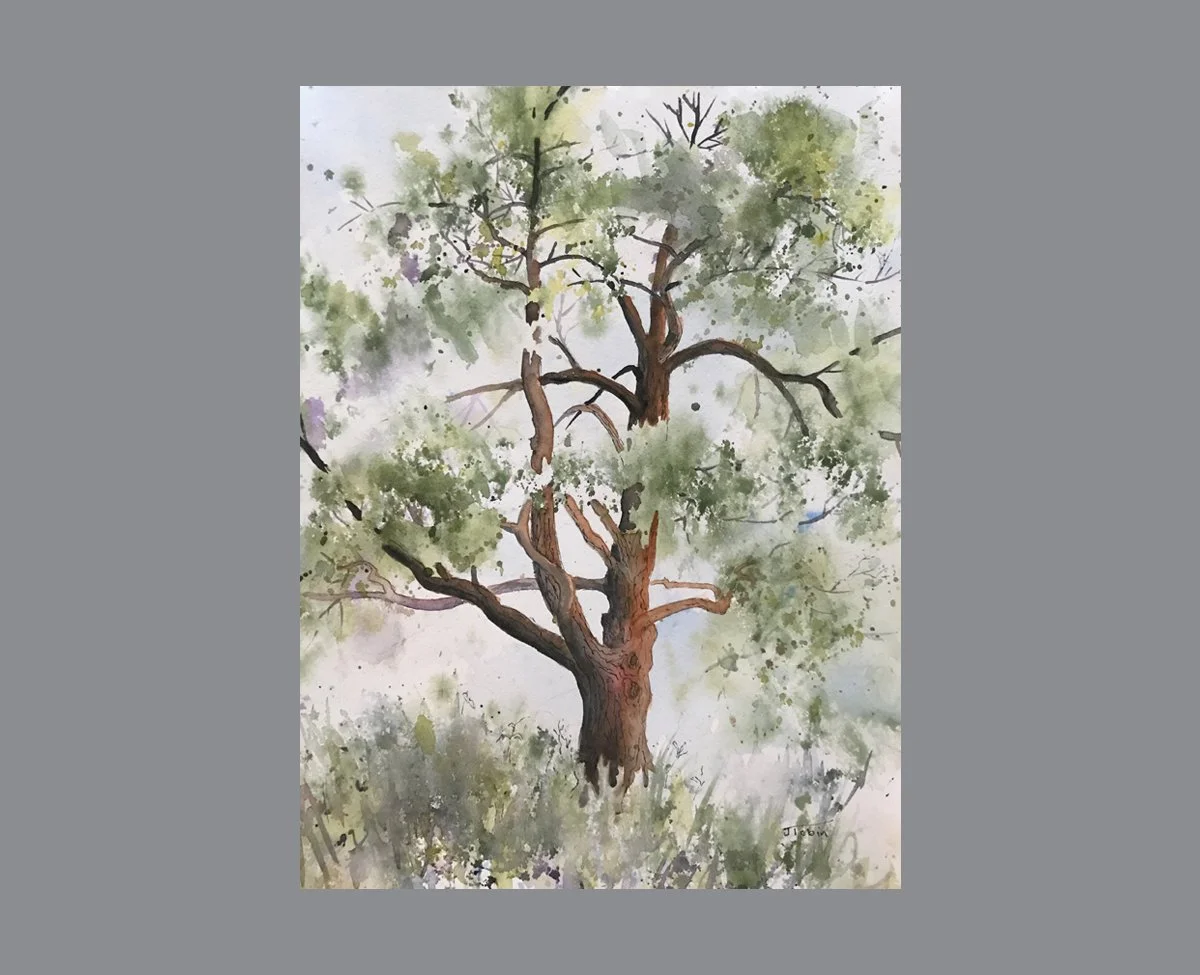 Shop — Sheboygan Visual Artists