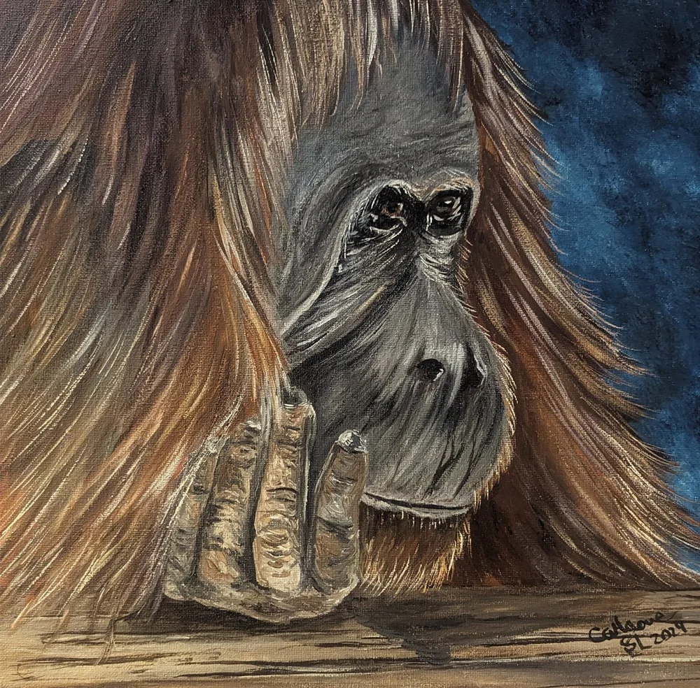 Carla Lewis — Sheboygan Visual Artists