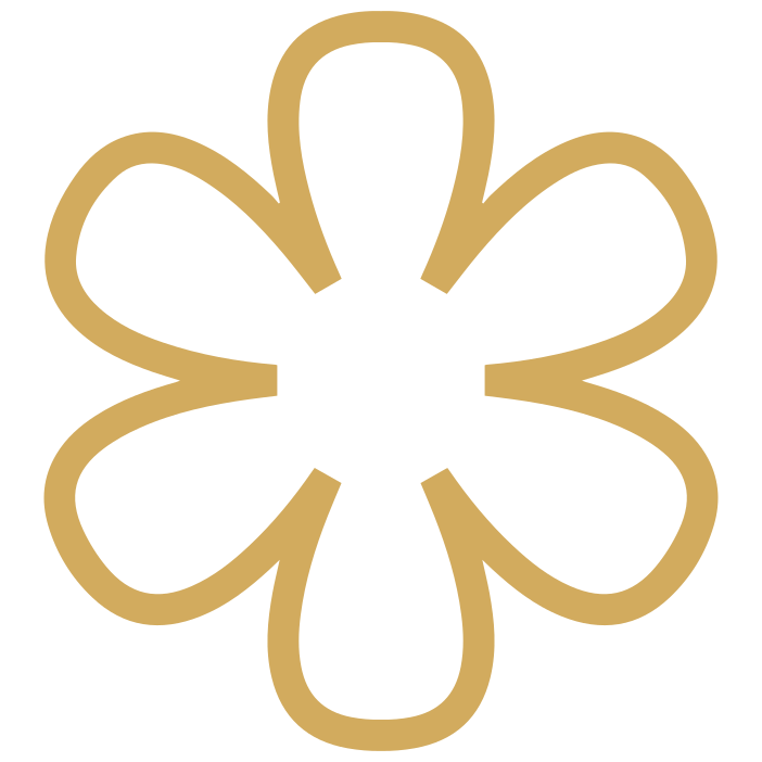RESTAURANT APDIKT — STORY