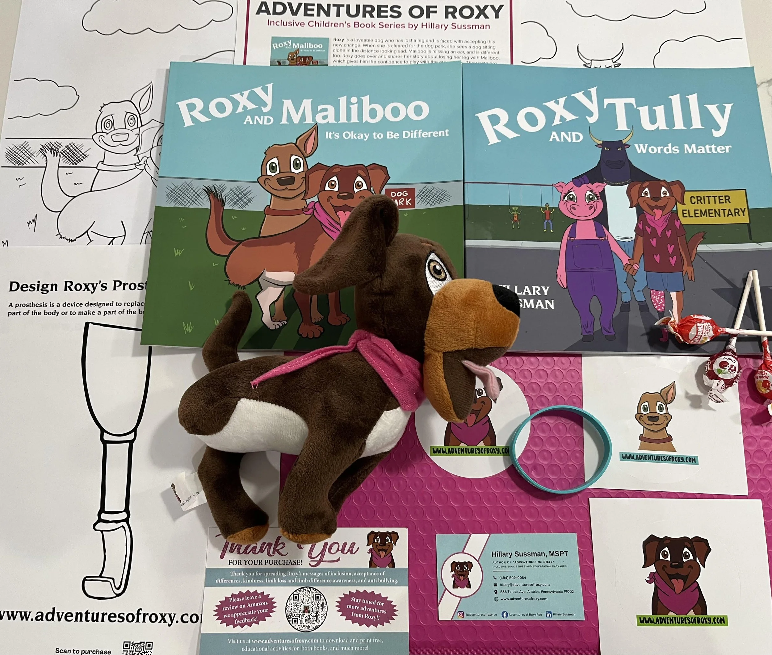 Workshops — Adventures of Roxy