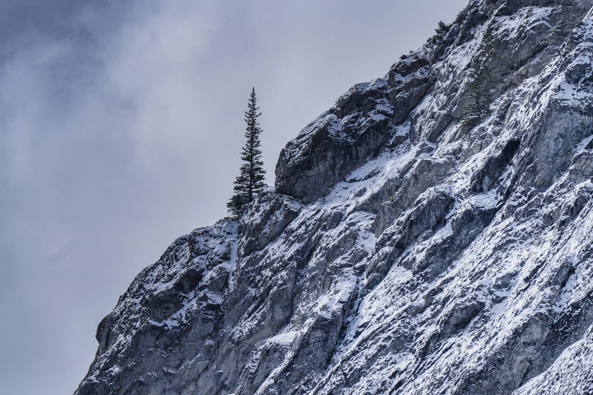 About 1 — Sharpstone Conservation Solutions