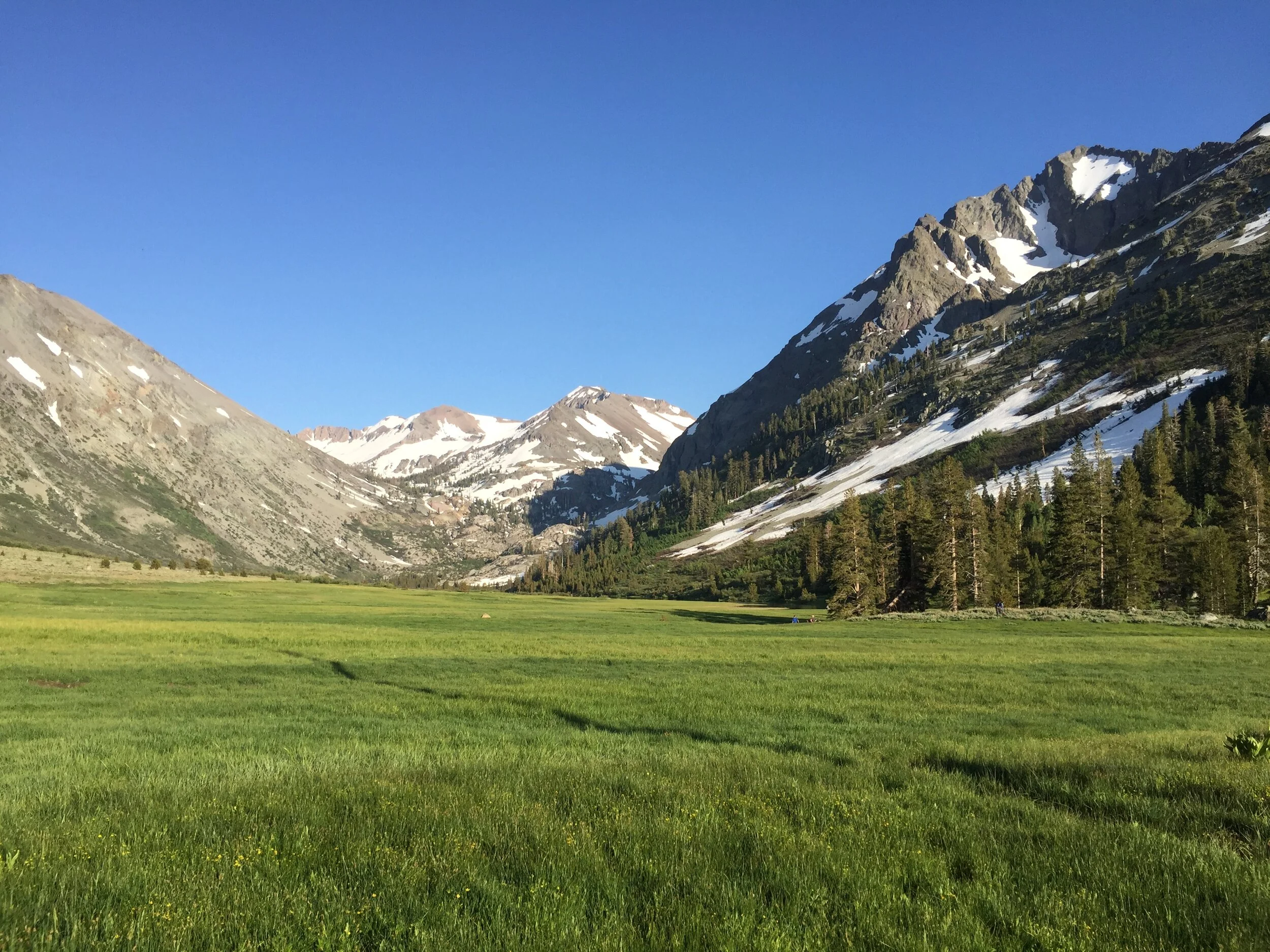 Sierra Summit Expeditions