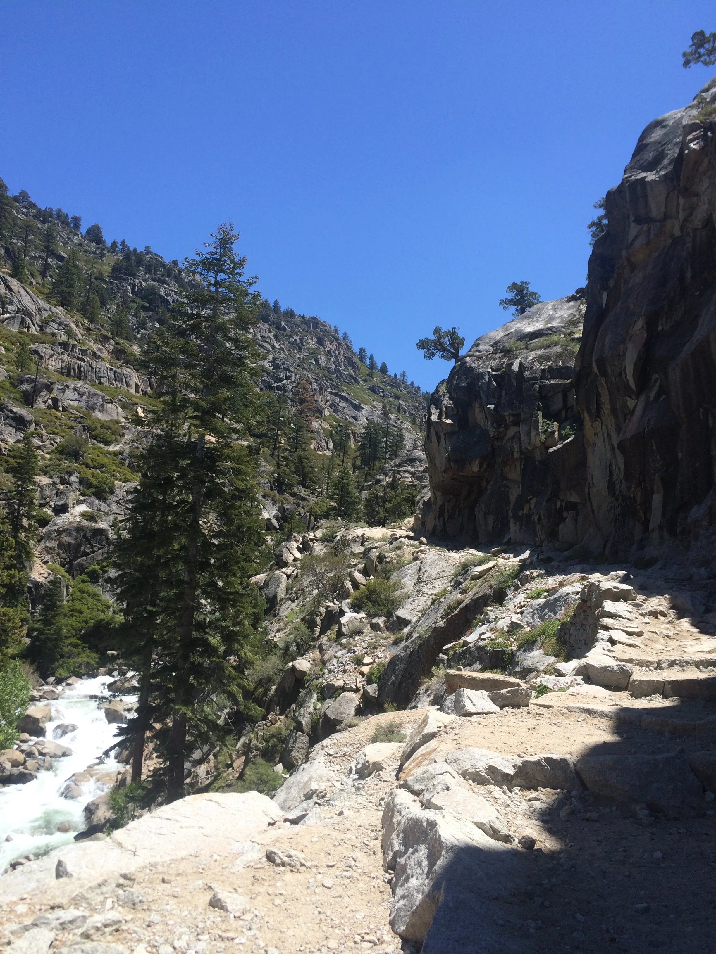 Sierra Summit Expeditions