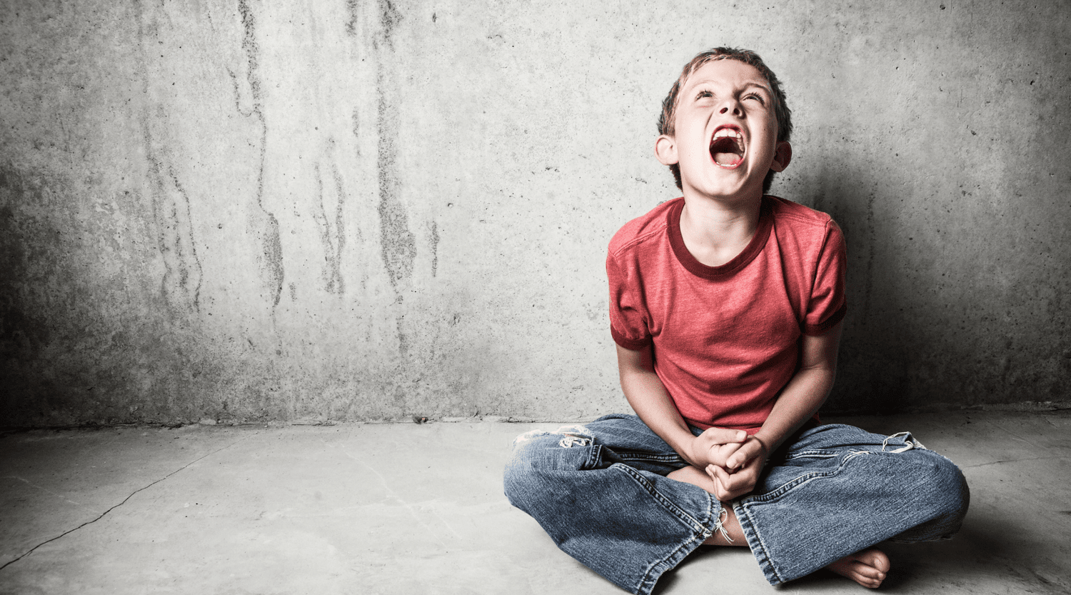 Emotion Regulation for Kids — Mom Life Coach