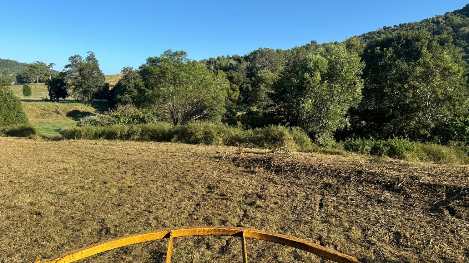 Tree Clearing Brisbane — PROTRAX MULCHING